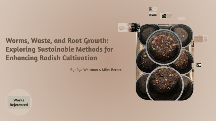 Worms, Waste, and Root Growth: Exploring Sustainable Methods for ...