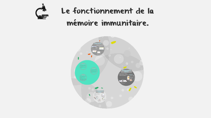 Le fonctionnement de la mémoire immunitaire. by Salomé RT on Prezi