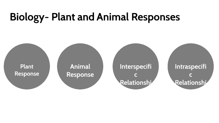 Bio- Plant and Animal Response by Ash Fleming on Prezi