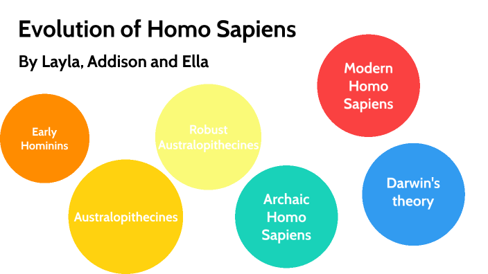 Evolution of the Homo Sapiens by Layla Ellis on Prezi