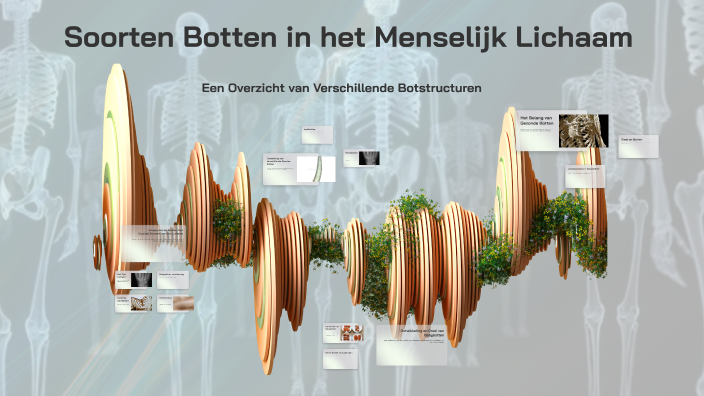 Verschillende Soorten Botten en hun Functies by Lotte Bohy on Prezi