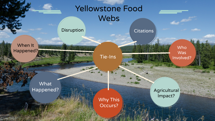 Yellowstone Food Webs Case Study- Naomi Schrader and Lauren ...