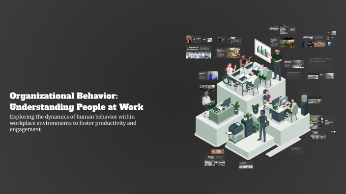 Organizational Behavior: Understanding People at Work by Mary Grace ...