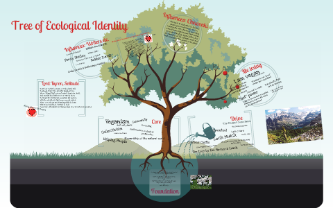 A Tree of Ecological Identity by Jo Dixon on Prezi