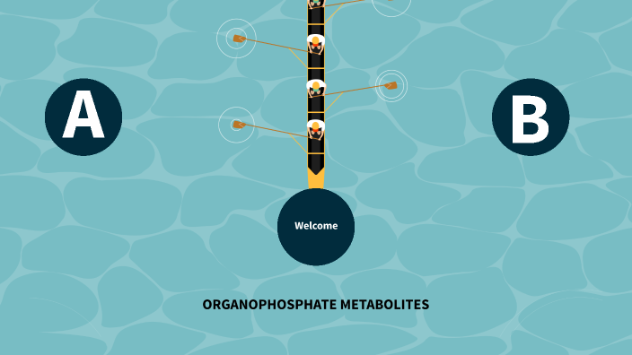 ORGANOFOSFAT by heri sanjaya on Prezi