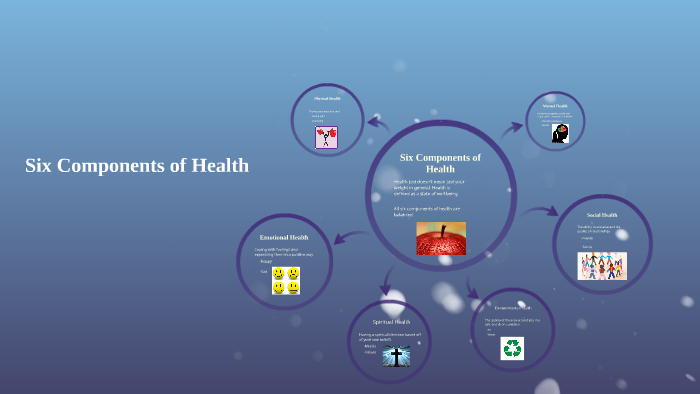 Six Components of Health by Michael Vass