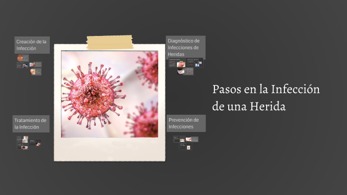 Pasos de la Infección de una Herida by RAQUEL ROY CEBRIÁN on Prezi