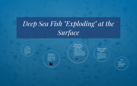 Deep Sea Fish Exploding at the Surface by Kirsten Goldner on Prezi