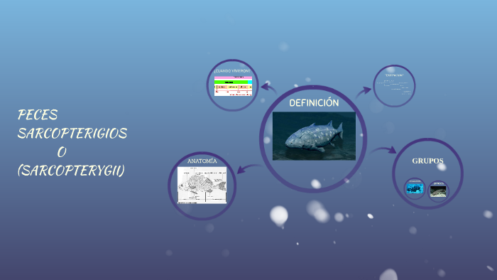 PECES SARCOPTERIGIOS by norberto carrillo jiménez on Prezi