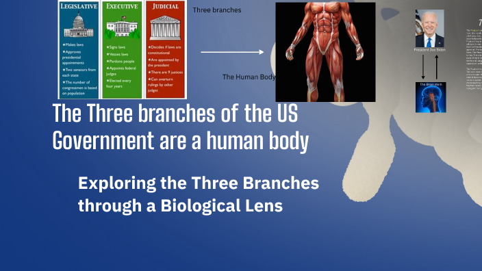 The Human Body of Government by Logan Young on Prezi