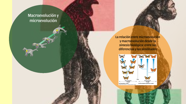 Macro y Microevolución by Tifa Ortíz on Prezi