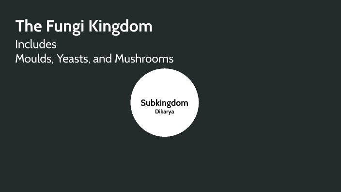 The Fungi Kingdom by Willem Maritz on Prezi