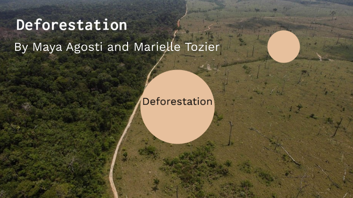Deforestation by Maya Agosti on Prezi