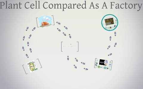Plant Cell Compared As A Factory by Maria Patrick on Prezi