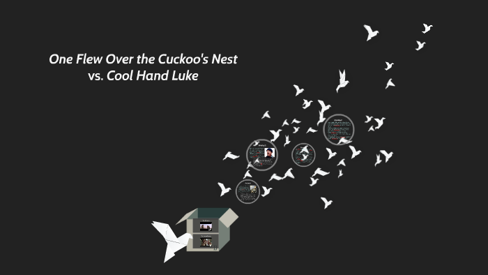 One Flew Over the Cuckoo's Nest vs. Cool Hand Luke by Suk Joon Jeanne ...