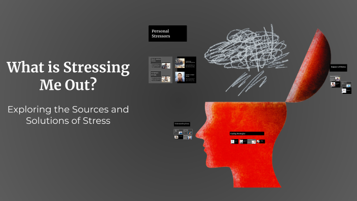What is Stressing Me Out? by Kelly Lalan on Prezi