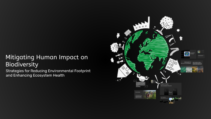 Mitigating Human Impact on Biodiversity by Sparkle with Maryam on Prezi