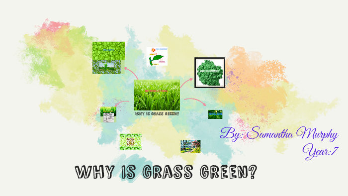 Why Is Grass Green? by Samantha Murphy on Prezi