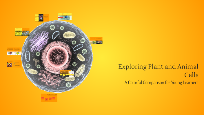 Exploring Plant and Animal Cells by John Christian Reserva on Prezi