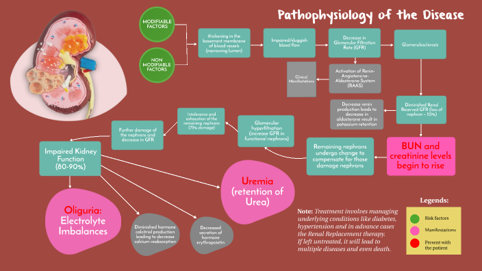 Pathophysiology by Kim Hope on Prezi