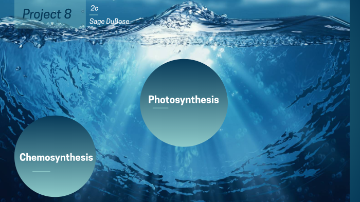 Photosynthesis vs Chemosynthesis by sage dubose on Prezi