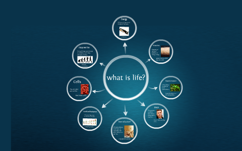 what is life? by mackenzie broderick on Prezi