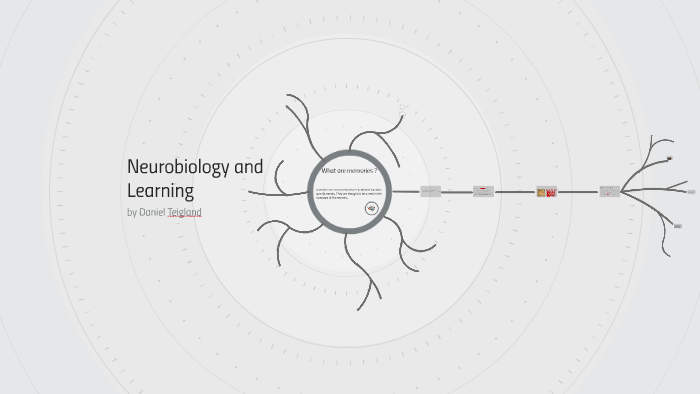 Neorobiology by Daniel Teigland on Prezi