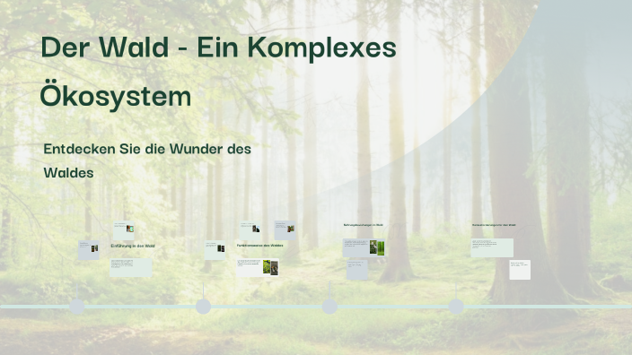 Der Wald - Ein Komplexes Ökosystem by lenny kobel on Prezi