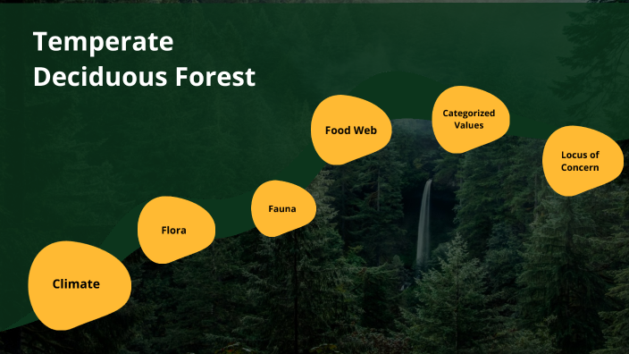 Temperate Deciduous Forest by Molly Logan on Prezi