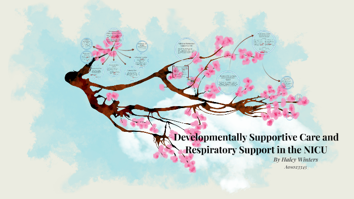 Developmentally Supportive Care by Haley+Mackenzie Winters on Prezi