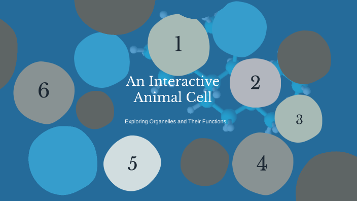 An Interactive Animal Cell by Aaron Li on Prezi
