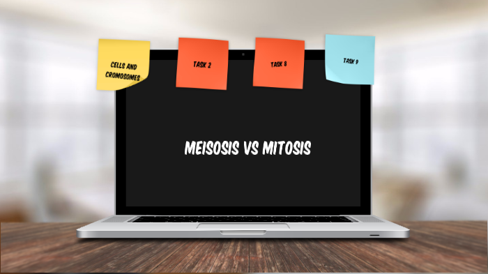 Meiosis vs Mitosis by Ryleigh Molden on Prezi