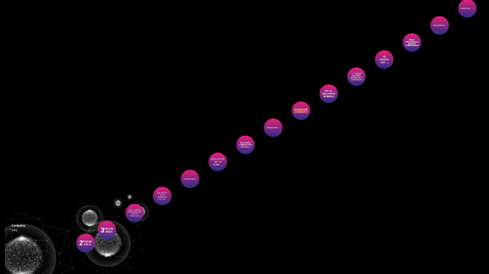 ESTEFANI BAEZ CAPILLA 2°B by Estefani Baez capilla on Prezi