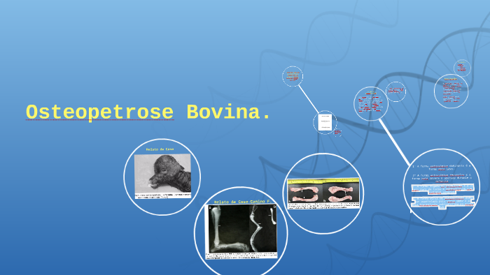 Osteopetrose Bovina. by bruna bispo on Prezi