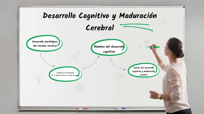 Desarrollo Cognitivo Y Maduración Cerebral By Obed Acosta On Prezi