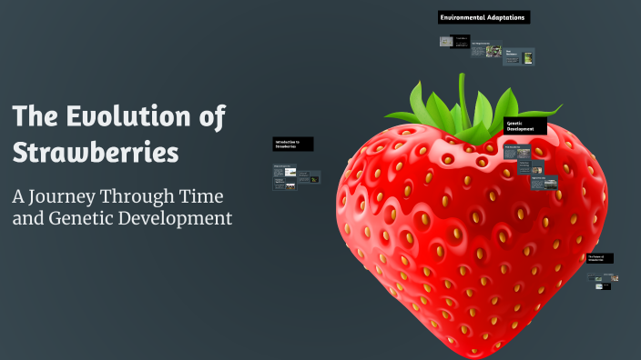 The Evolution of Strawberries by Jaswant Siva on Prezi