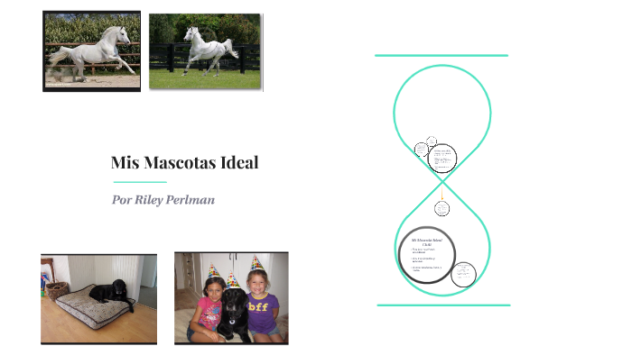 Las Mascotas by Riley Perlman on Prezi