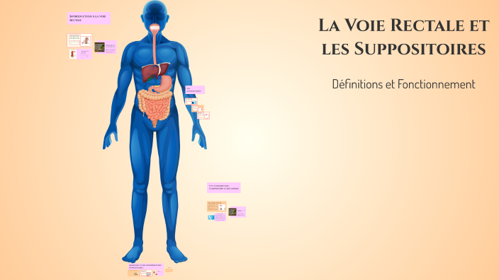 La Voie Rectale et les Suppositoires by Ritej Habes on Prezi