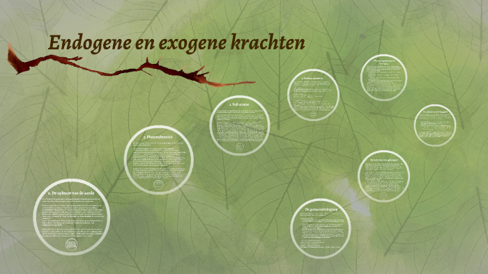 Endogene en exogene krachten by Anja Gutter on Prezi