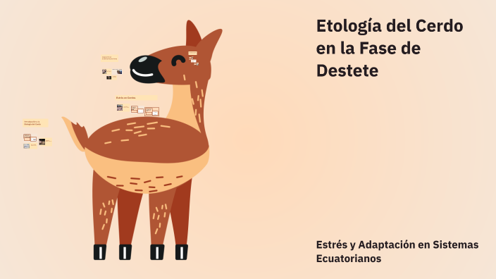 Etología del Cerdo en la Fase de Destete by RENE ANDRES BORJA CUADRO on ...