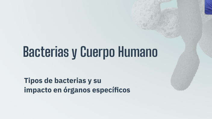 Bacterias y Cuerpo Humano by moises gomez on Prezi