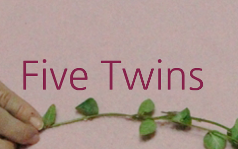 Five Twins by 효빈 김 on Prezi