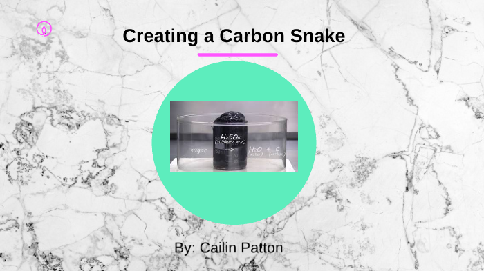 Creating a Carbon Snake by Cailin Patton on Prezi