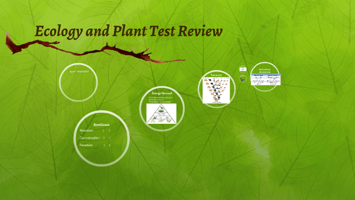 Ecology and Plant Test Review by Jennifer Simmons on Prezi