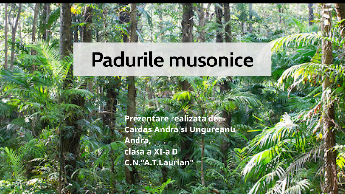 Pădurile musonice by Andi Ungureanu on Prezi