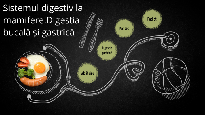 Sistemul digestiv la mamifere.Digestia bucală și gastrică by Grosu ...