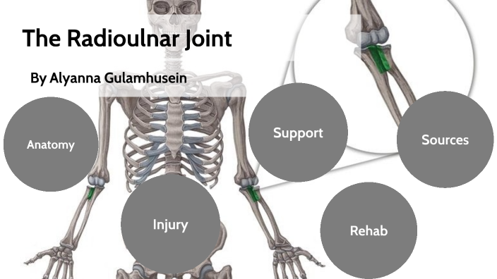 Elbow Joint Exploration Project by Alyanna Gulamhusein on Prezi