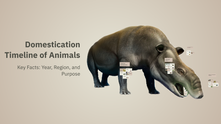 Domestication Timeline of Animals by Eduardo Bustamante on Prezi