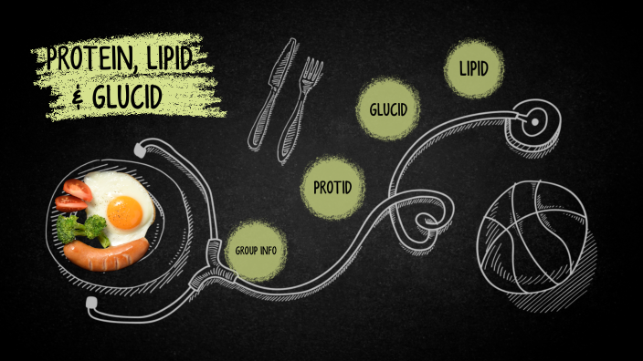 PROTEIN, GLUCID, LIPID by Pham Nguyen on Prezi
