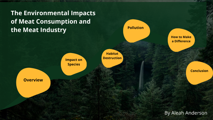 The Environmental Impacts of Meat Consumption and the Meat Industry by ...